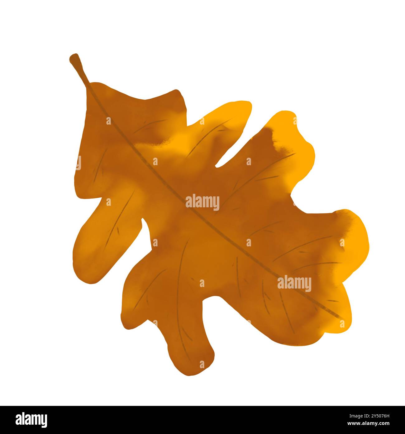 Autumn oak leaf. Watercolor digital color illustration Stock Photo - Alamy