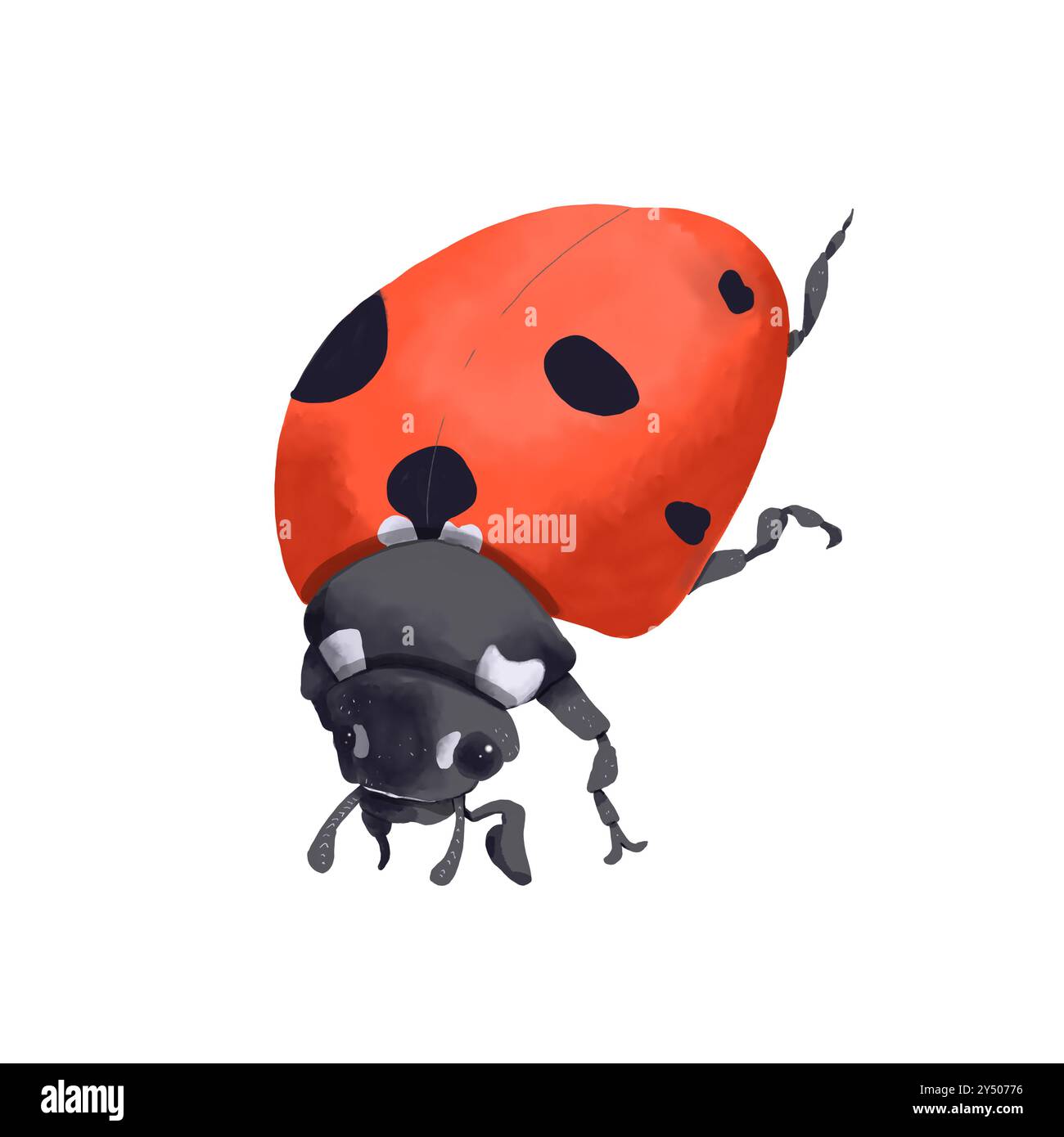 Ladybug. Watercolor digital color illustration Stock Photo - Alamy