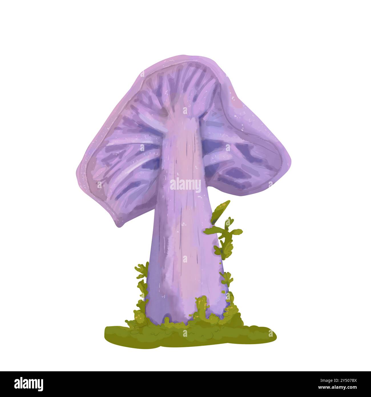 Purple rowan mushroom. Watercolor digital color illustration Stock ...