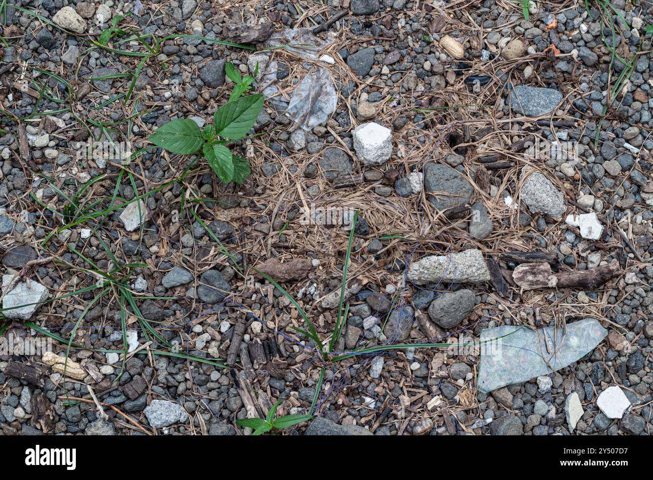 Ground textures with a theme of small rocks on the ground Stock Photo ...