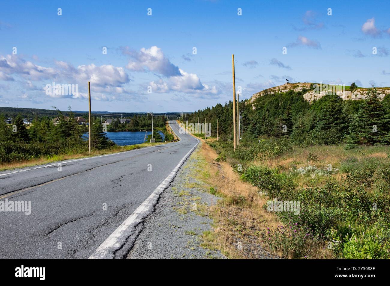NL 70 by Cupids Long Pond in Roaches Line, Newfoundland & Labrador ...