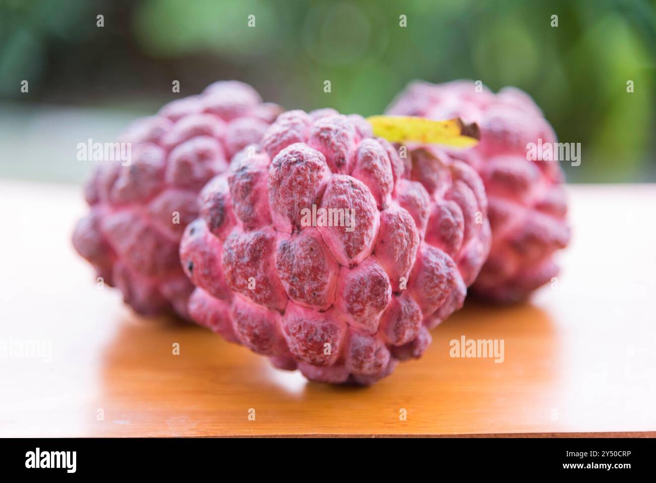 Pink fresh custard apple Stock Photo - Alamy