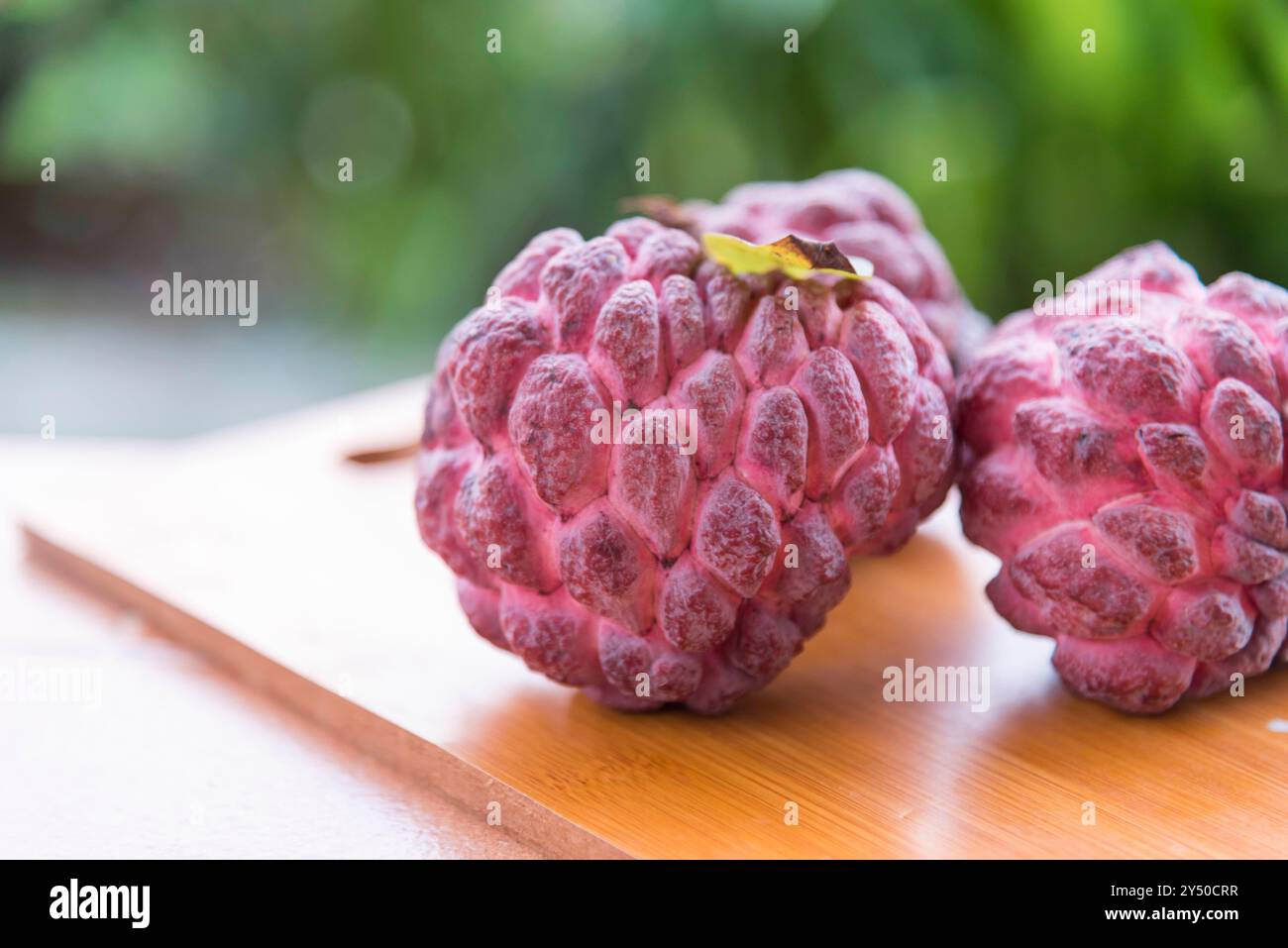 Pink fresh custard apple Stock Photo - Alamy