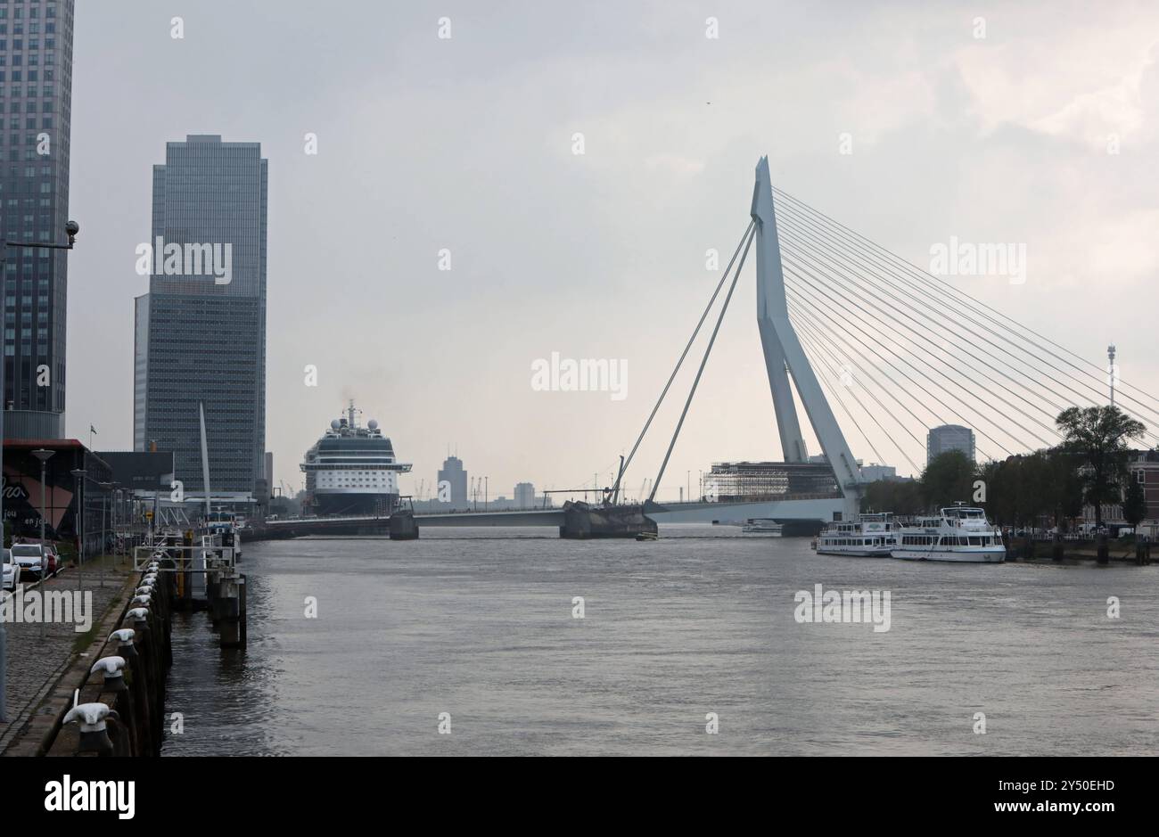 Erasmusbrücke in Rotterdam. Erasmusbrücke in Rotterdam. Rotterdam ...