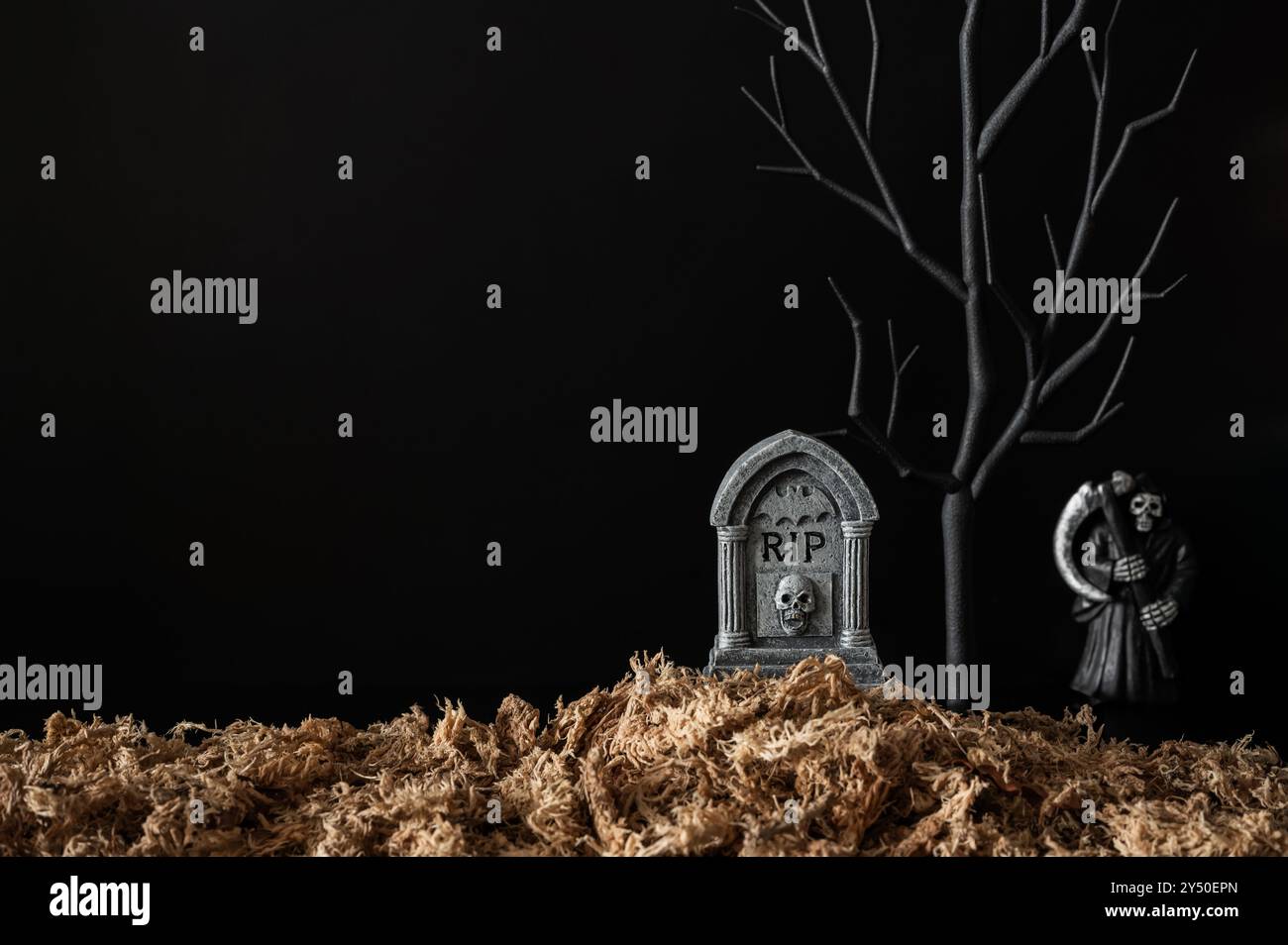 Halloween background with tombstone that have black tree and blurred ...