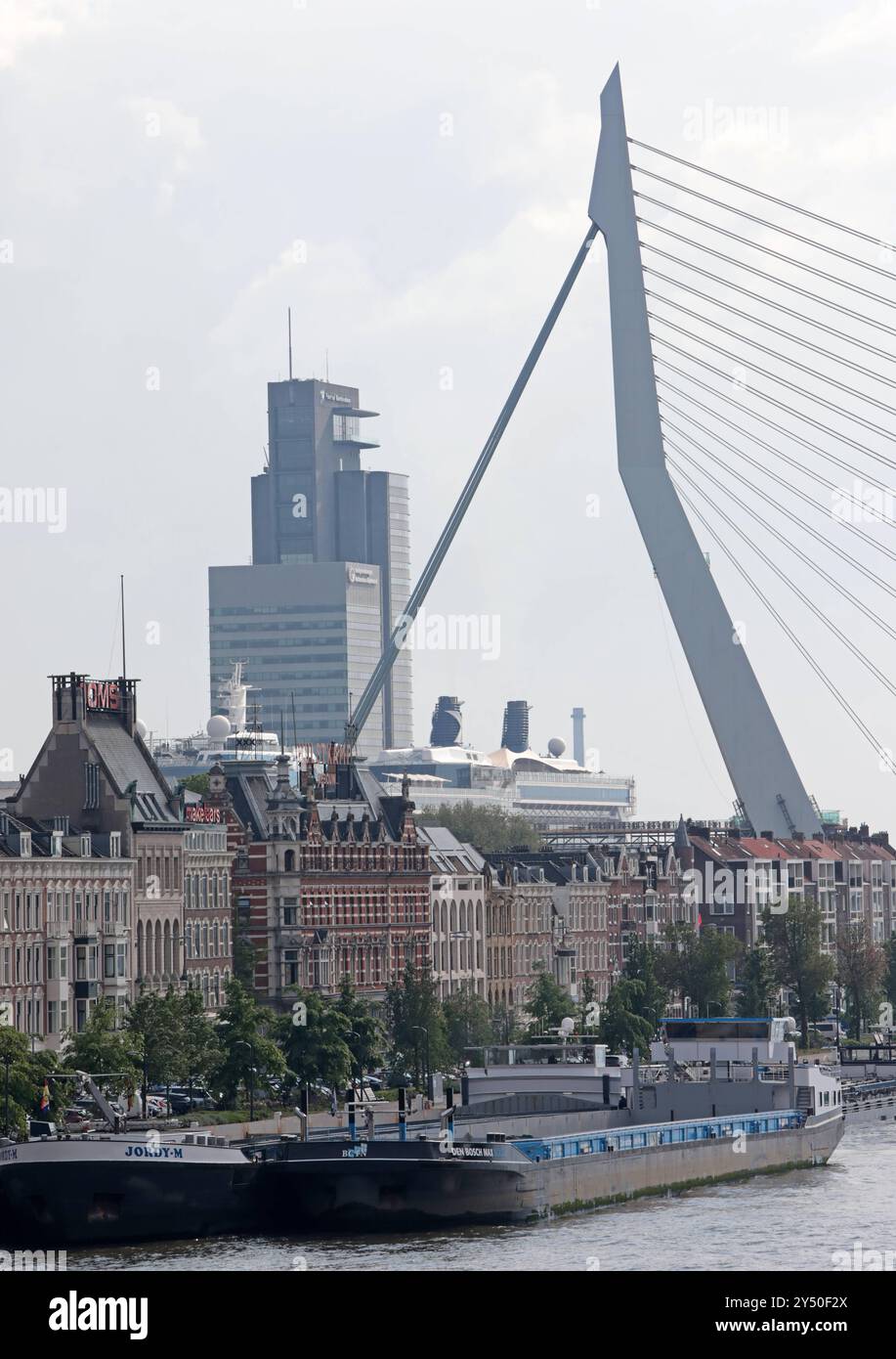Erasmusbrücke in Rotterdam. Erasmusbrücke in Rotterdam. Rotterdam ...