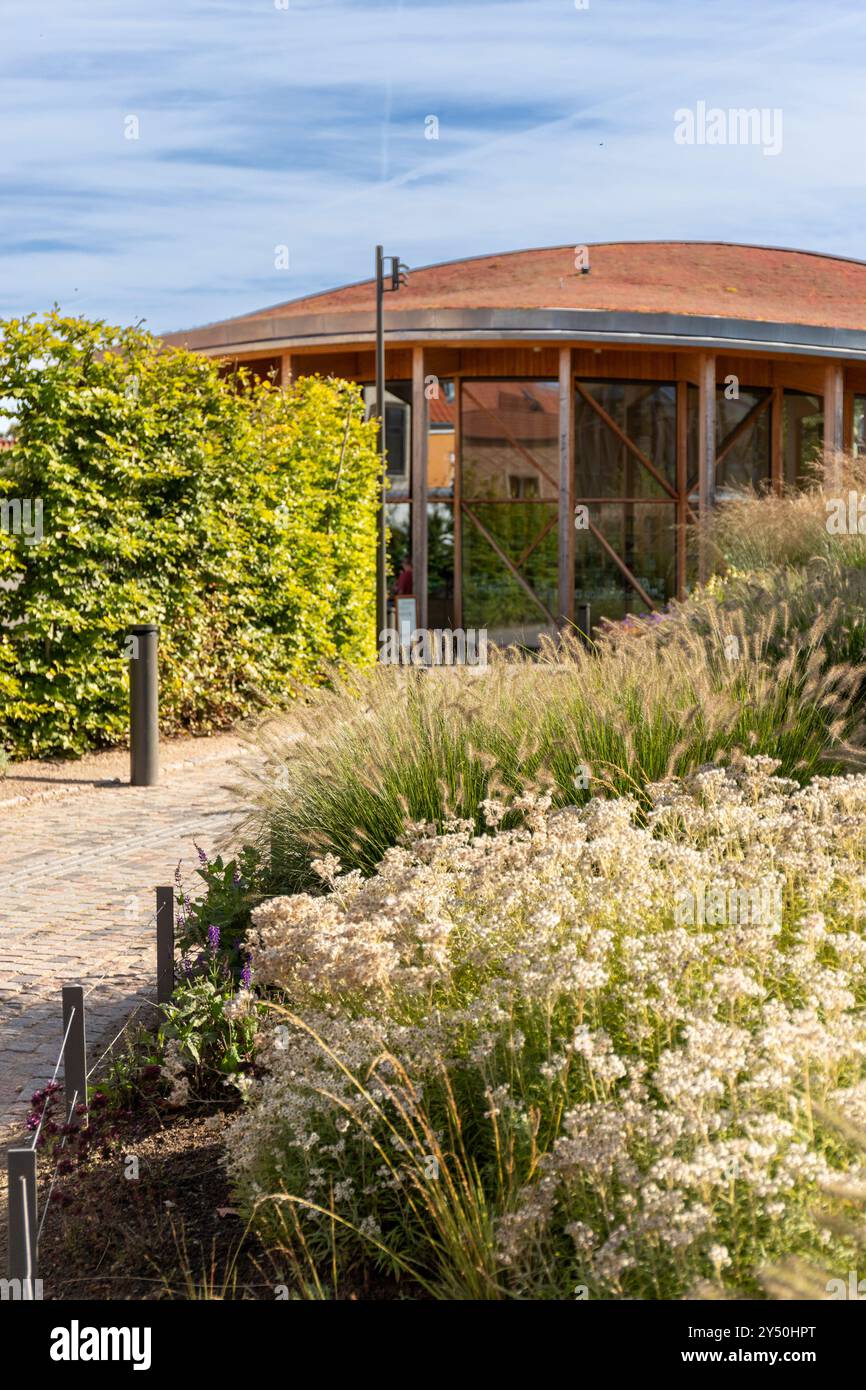 Capture the vibrant charm of Odense, Denmark! Stunning photos of ...