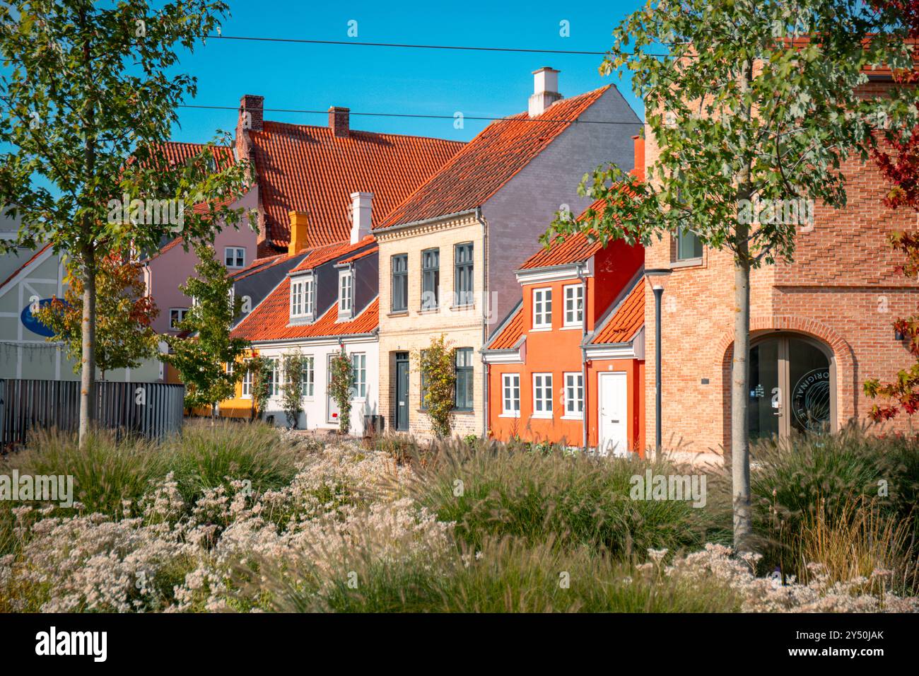 Capture the vibrant charm of Odense, Denmark! Stunning photos of ...