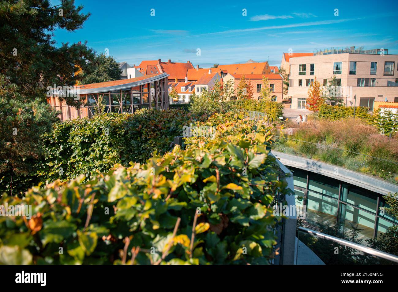 Capture the vibrant charm of Odense, Denmark! Stunning photos of ...