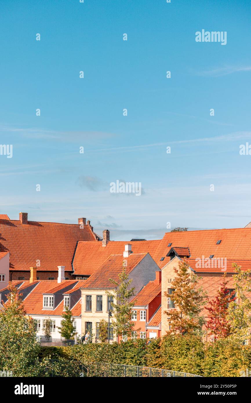Capture the vibrant charm of Odense, Denmark! Stunning photos of ...