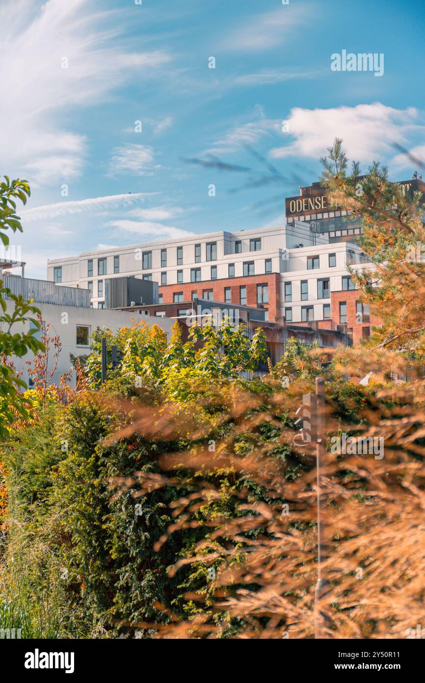 Capture the vibrant charm of Odense, Denmark! Stunning photos of ...