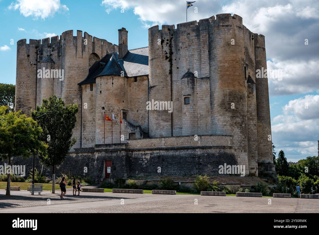 Medieval castle of Niort, Deux-Sevres, Nouvelle Aquitaine, France Stock ...