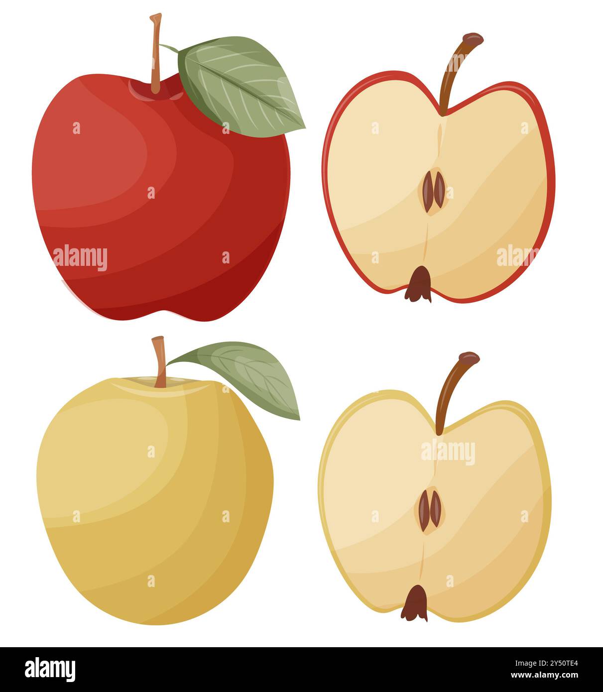 Red and green apple set illustration, graphic slice apple clipart, food, harvest clip art Stock ...