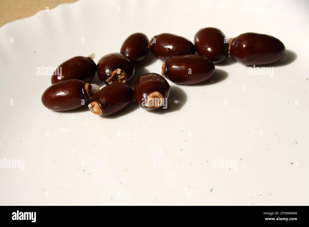 Lychee or Litchi (Litchi chinensis) seeds have dark brown color Stock ...
