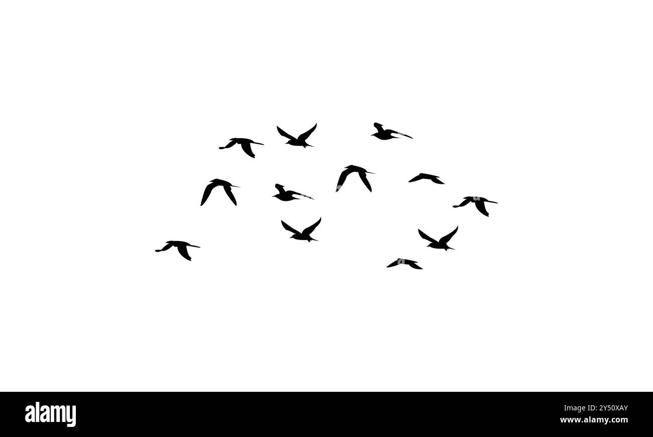 Flying Birds Vector Illustration Collection Stock Vector Image & Art ...