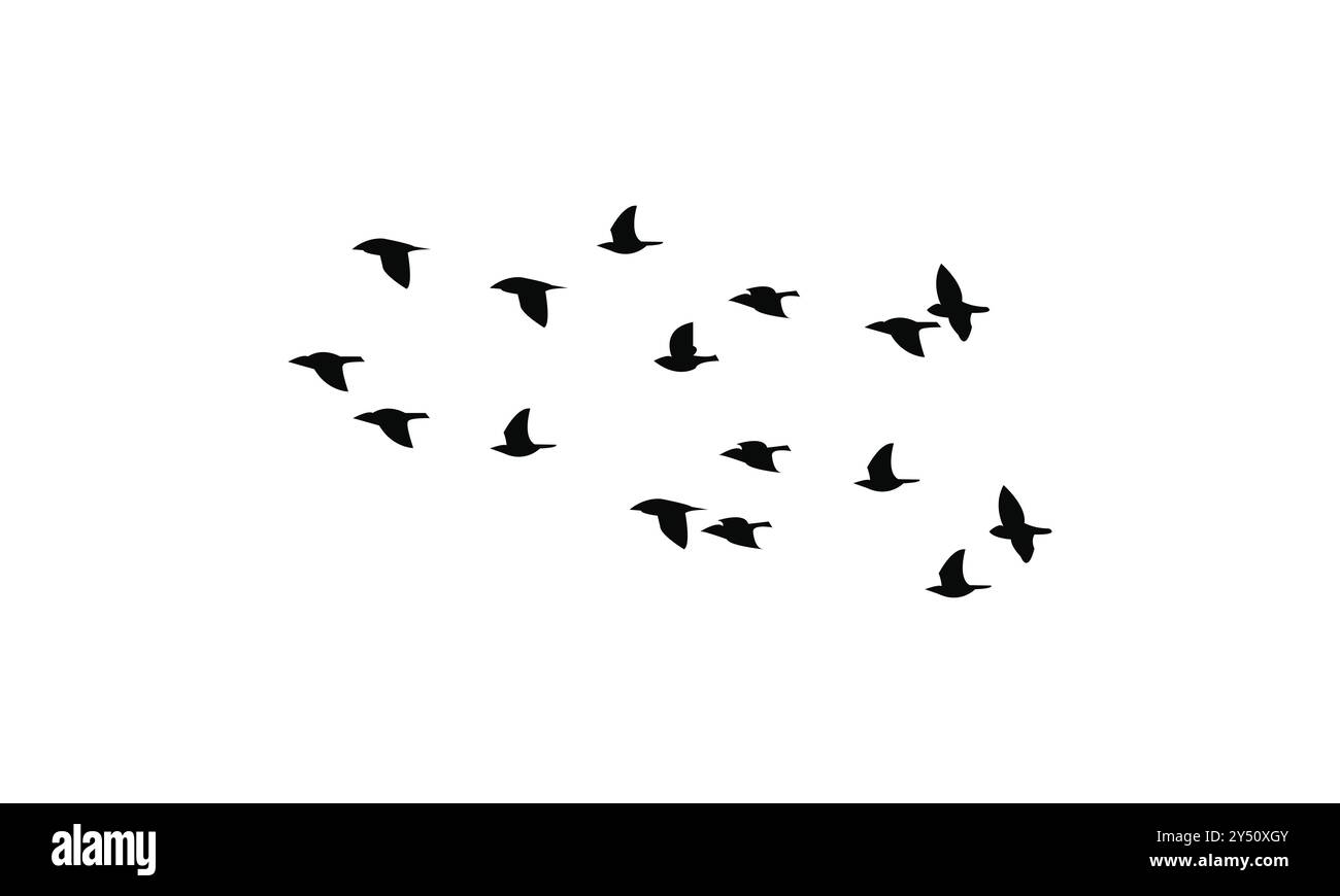 Flying Birds Vector Illustration Collection Stock Vector Image & Art ...
