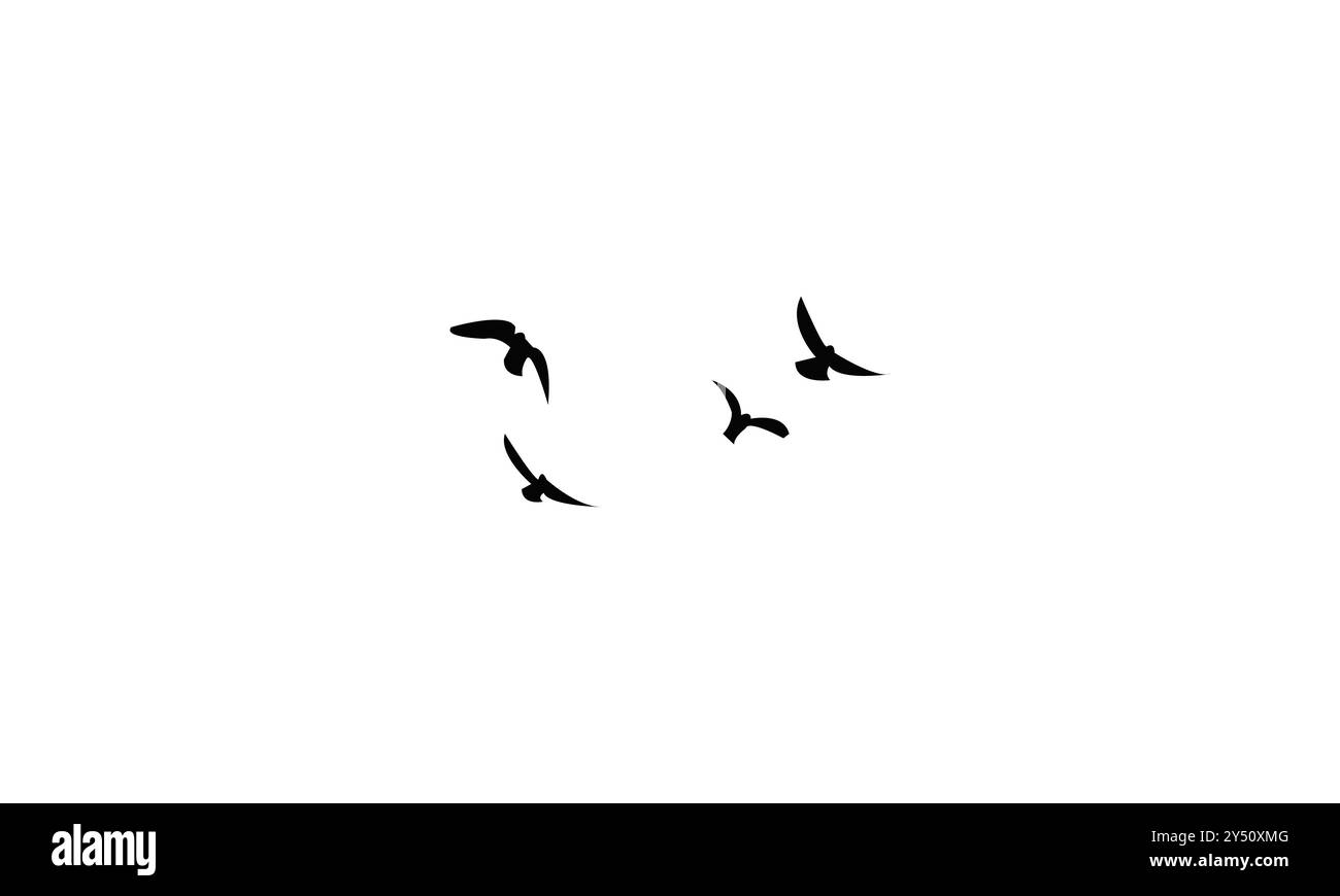 Flying Birds Vector Illustration Collection Stock Vector Image & Art ...