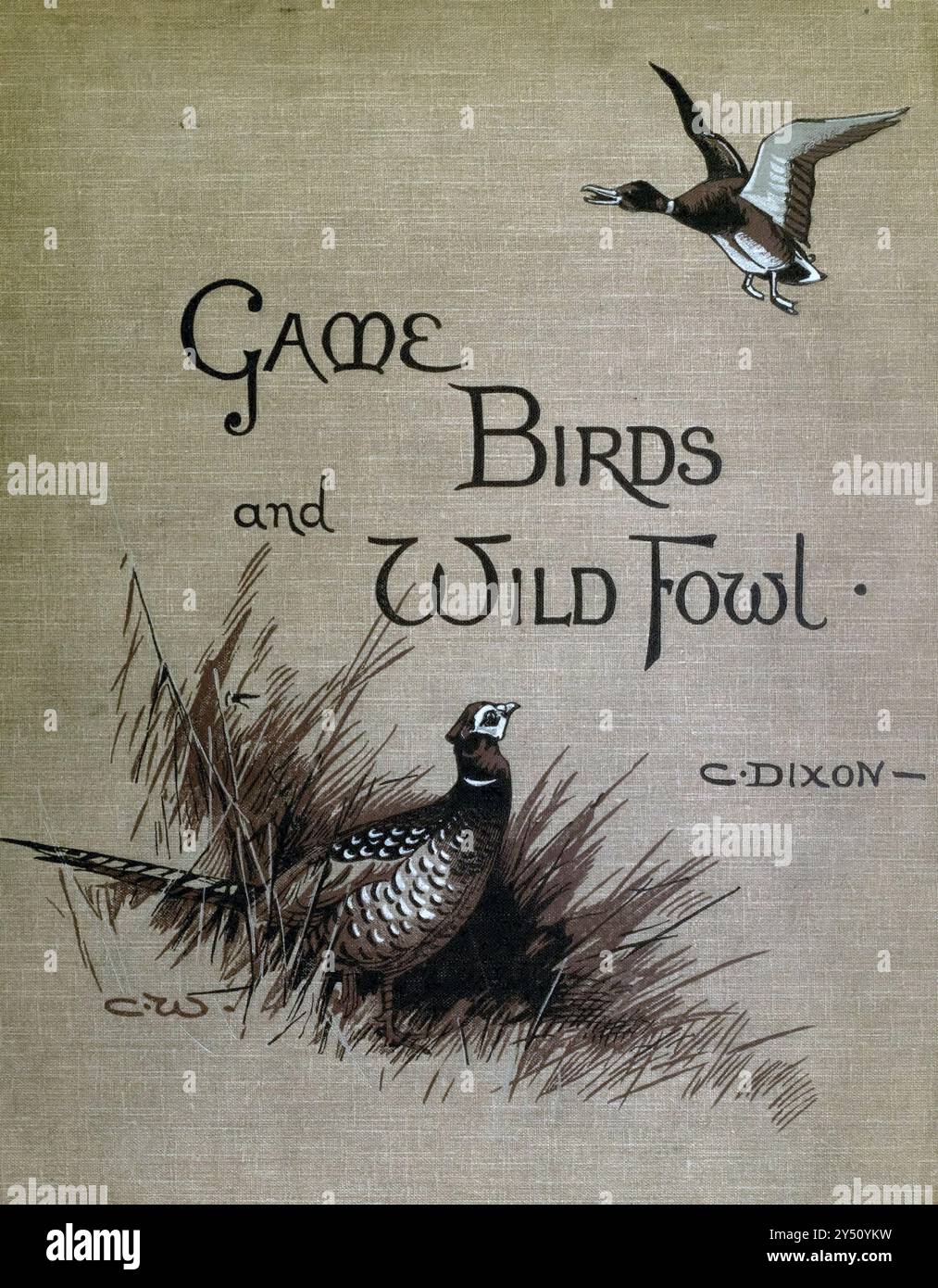 Book cover rom The Game Birds and Wild Fowl of The British Islands, by ...