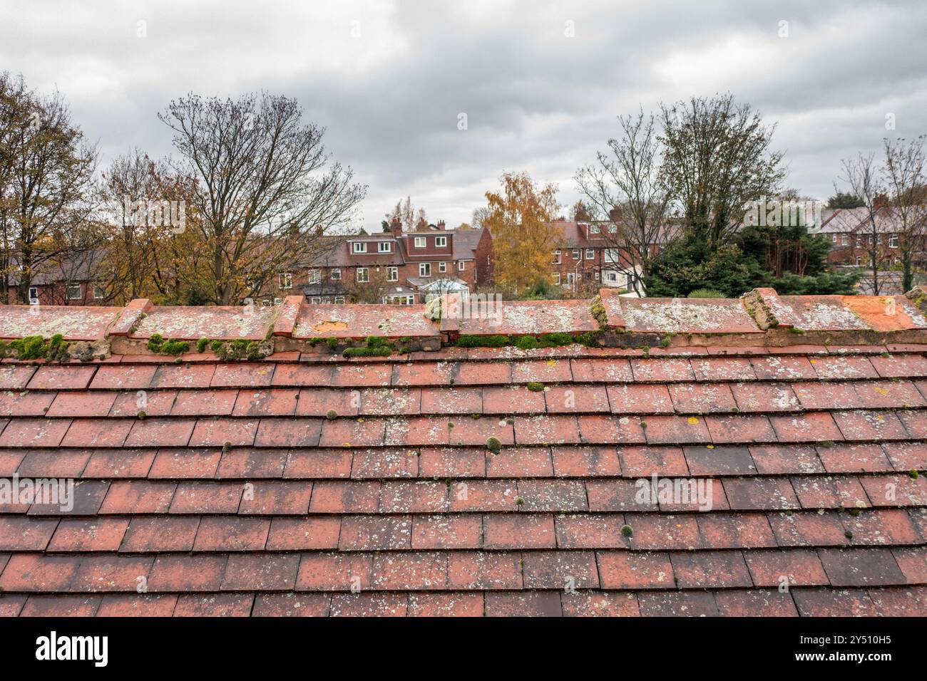 Aerial photo of a typical British terrace house in the UK showing the ...