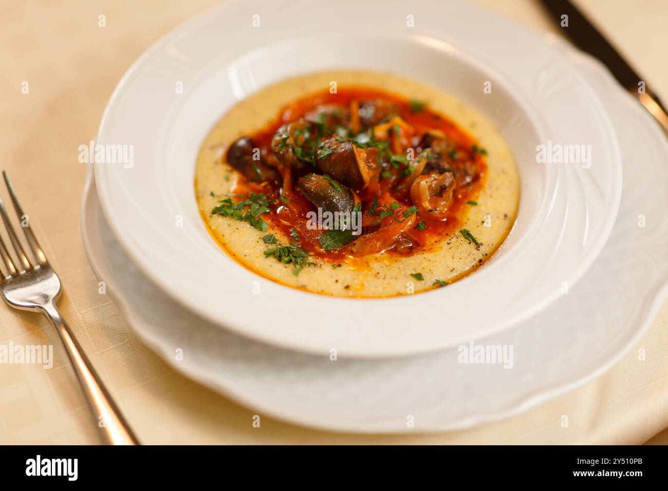 Close up on italian traditional northern food on a restaurant table ...