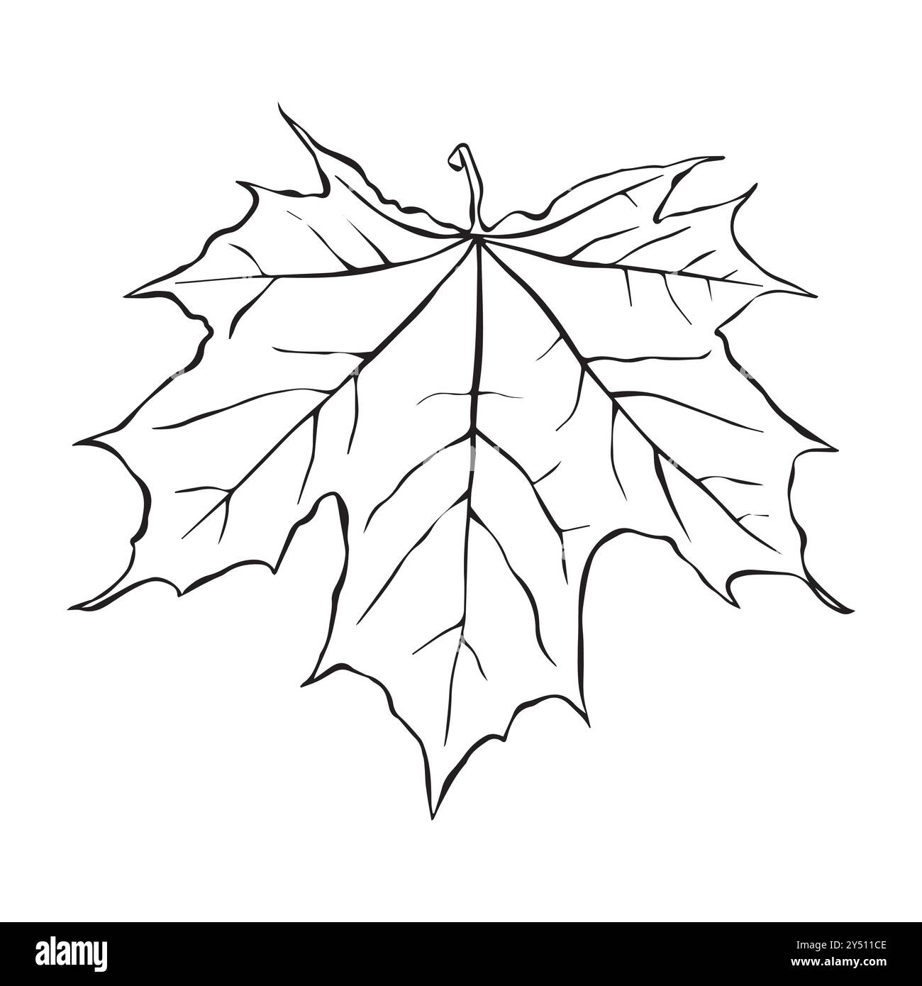 Maple leaf continuous one line art drawing of leaf decorative icon ...