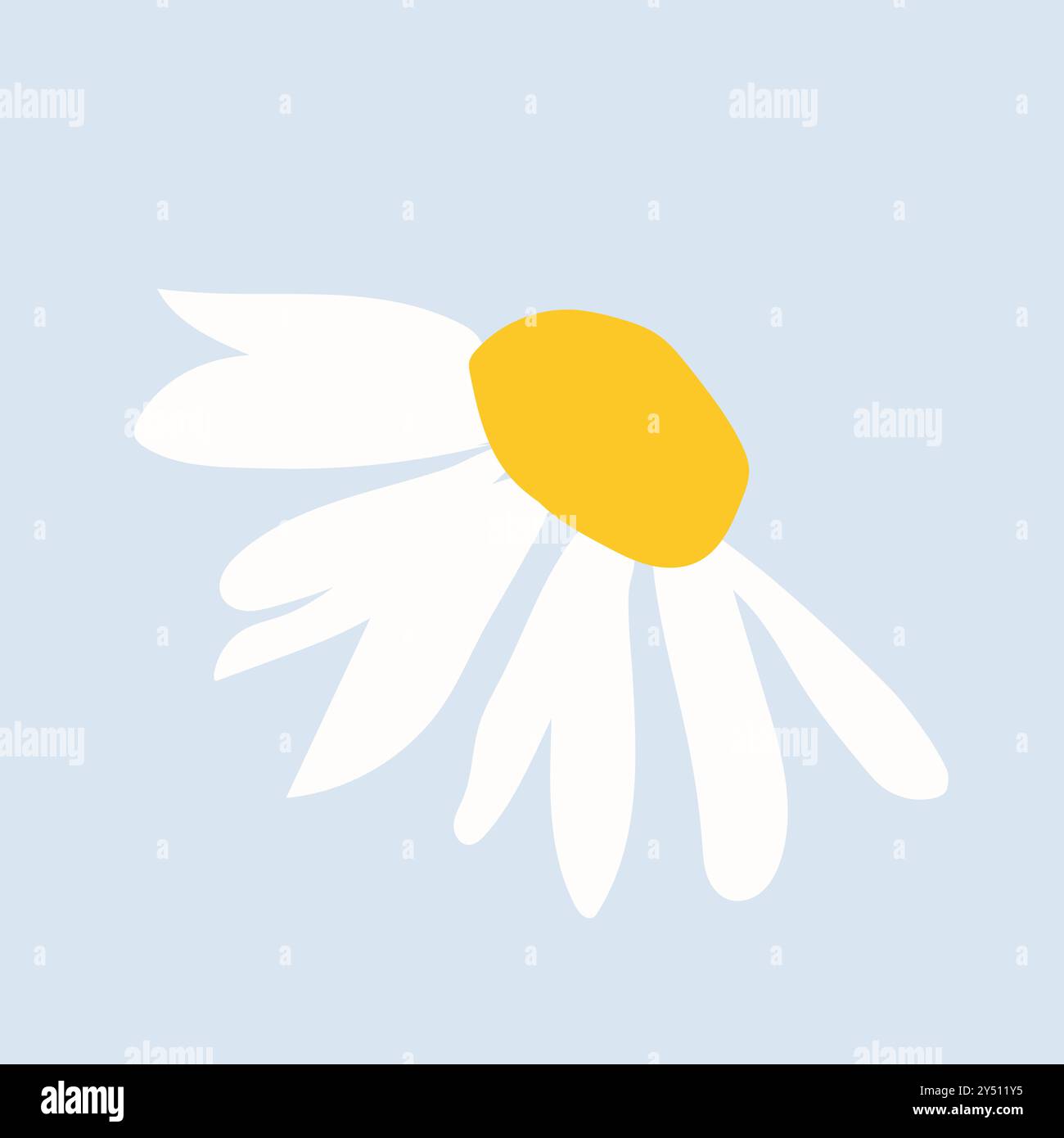 Beautiful daisy flower, meadow and hand drawn daisy flower on blue ...