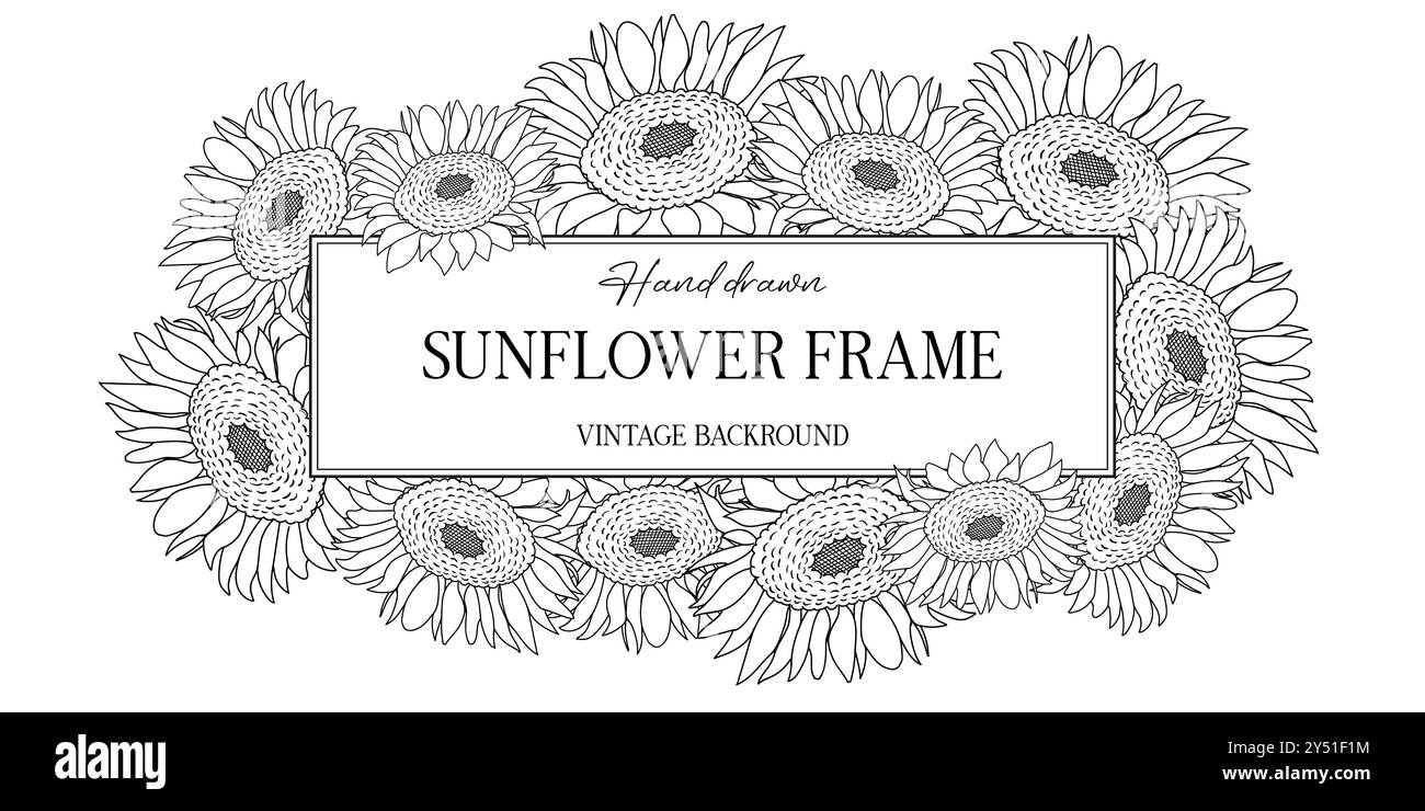 Hand drawn botanical frame with sunflowers. Vector illustration in ...