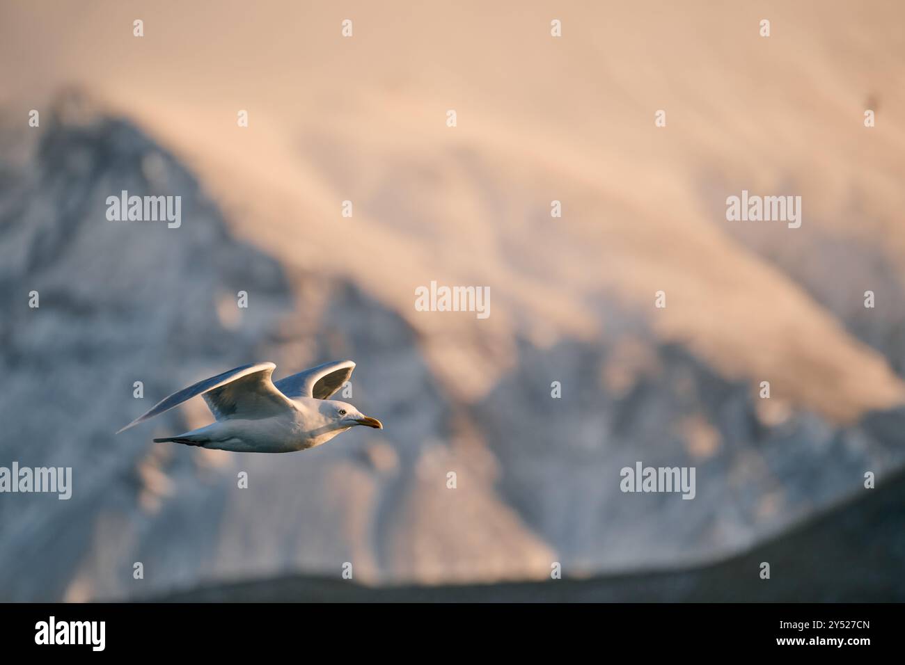 Flight over mountain ridge in hi-res stock photography and images - Alamy