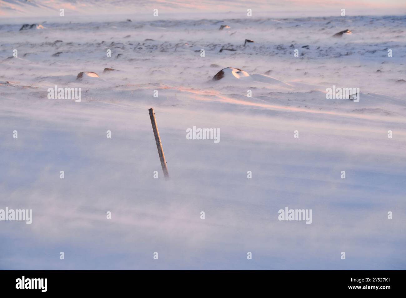 Nature environment blizzard hi-res stock photography and images - Alamy