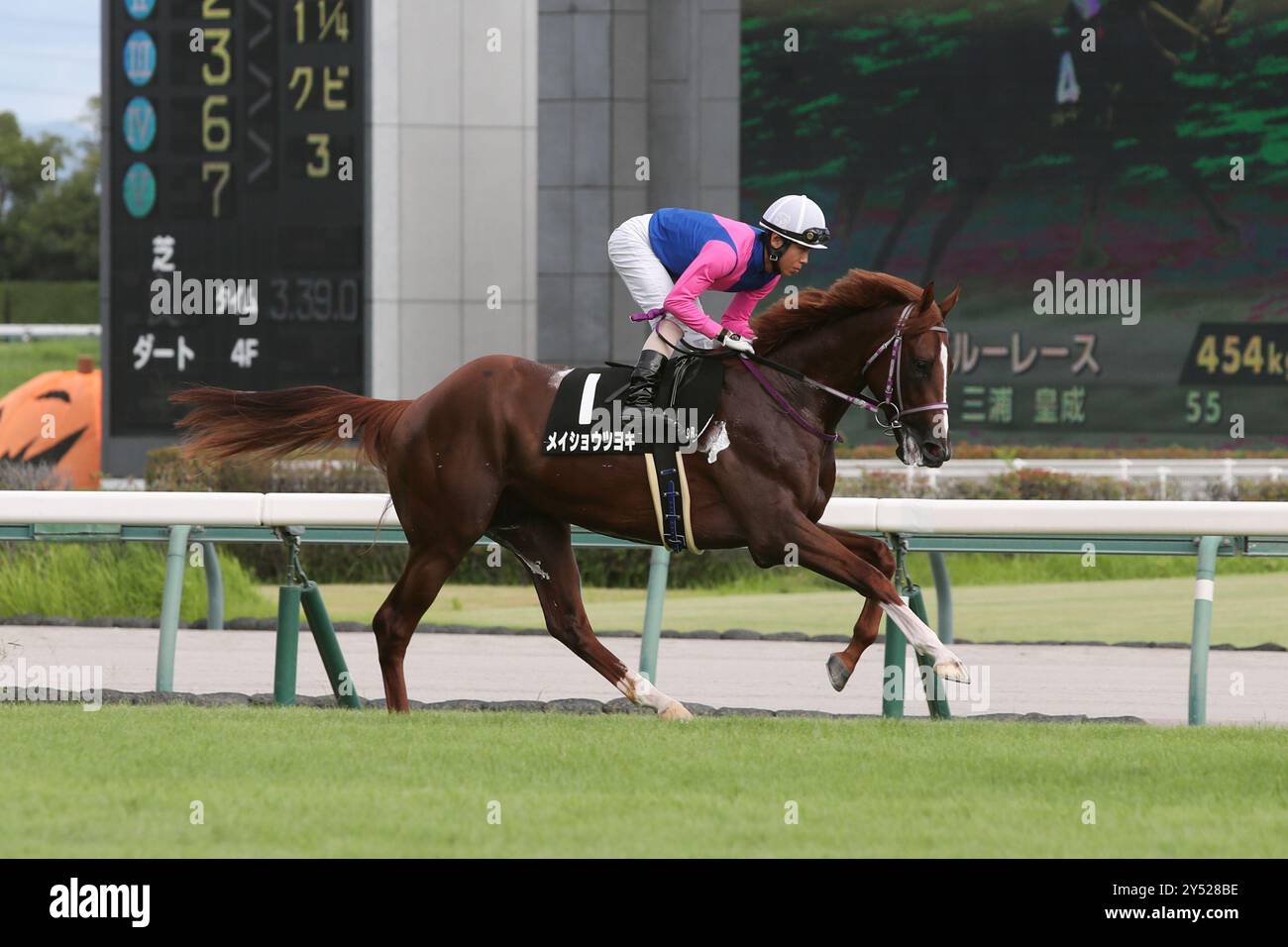 Yuichi kitamura hi-res stock photography and images - Alamy
