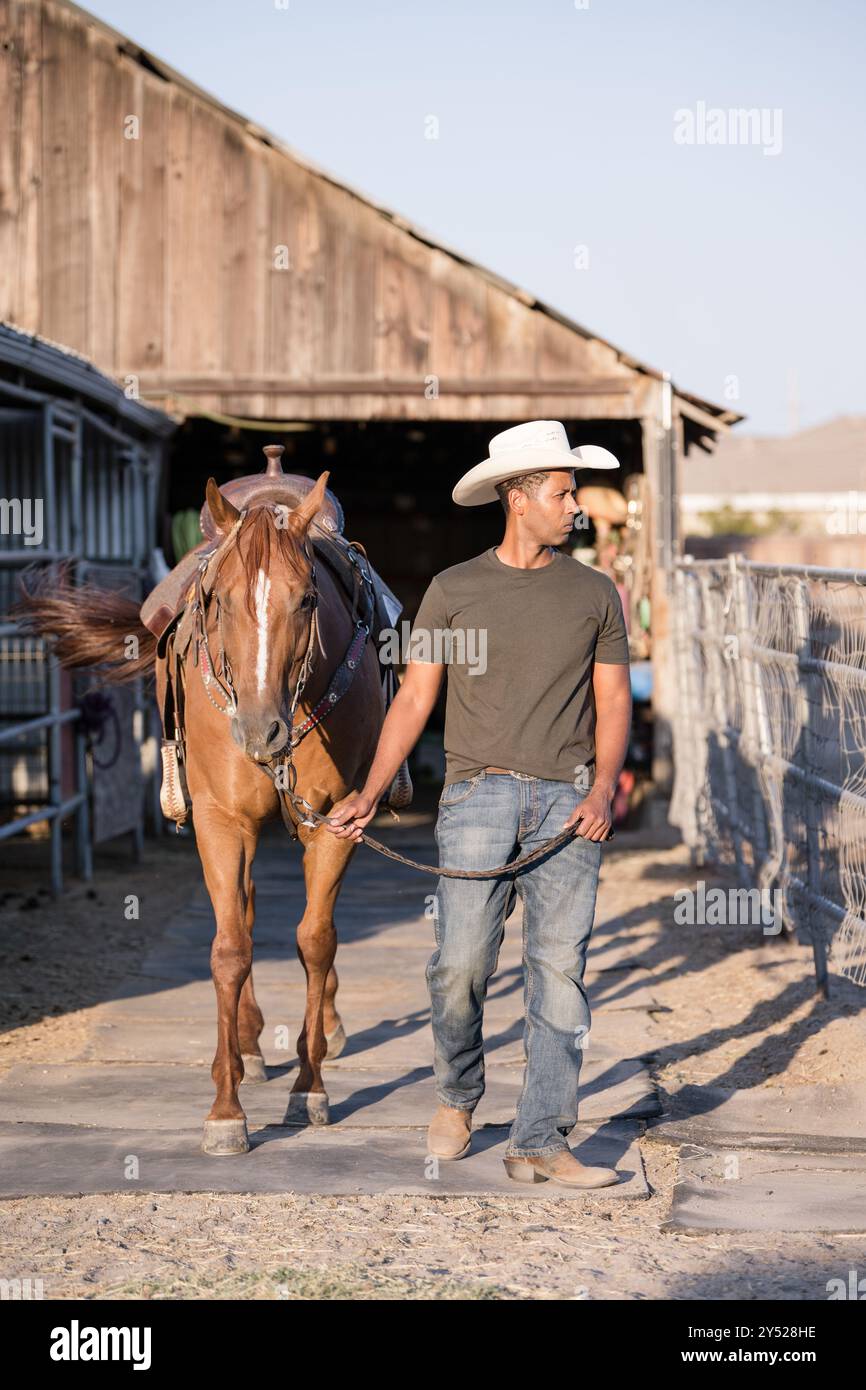 Leading horse, sunset hi-res stock photography and images - Alamy