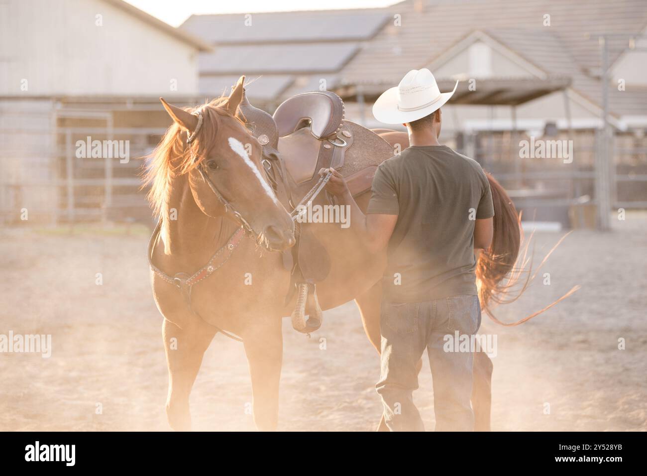 Dust kicking up hi-res stock photography and images - Alamy