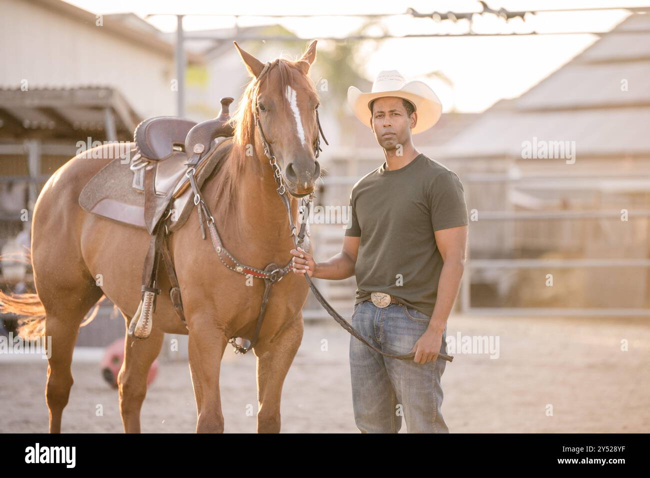 Adult masculine cowboy jeans muscular hi-res stock photography and ...