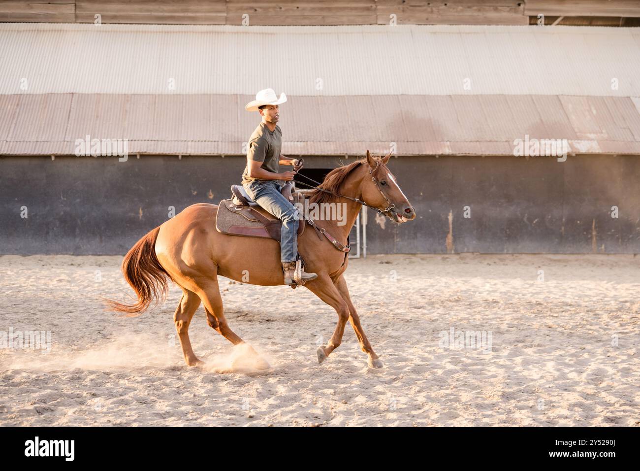 Cowboy galloping on a horse Stock Photo - Alamy