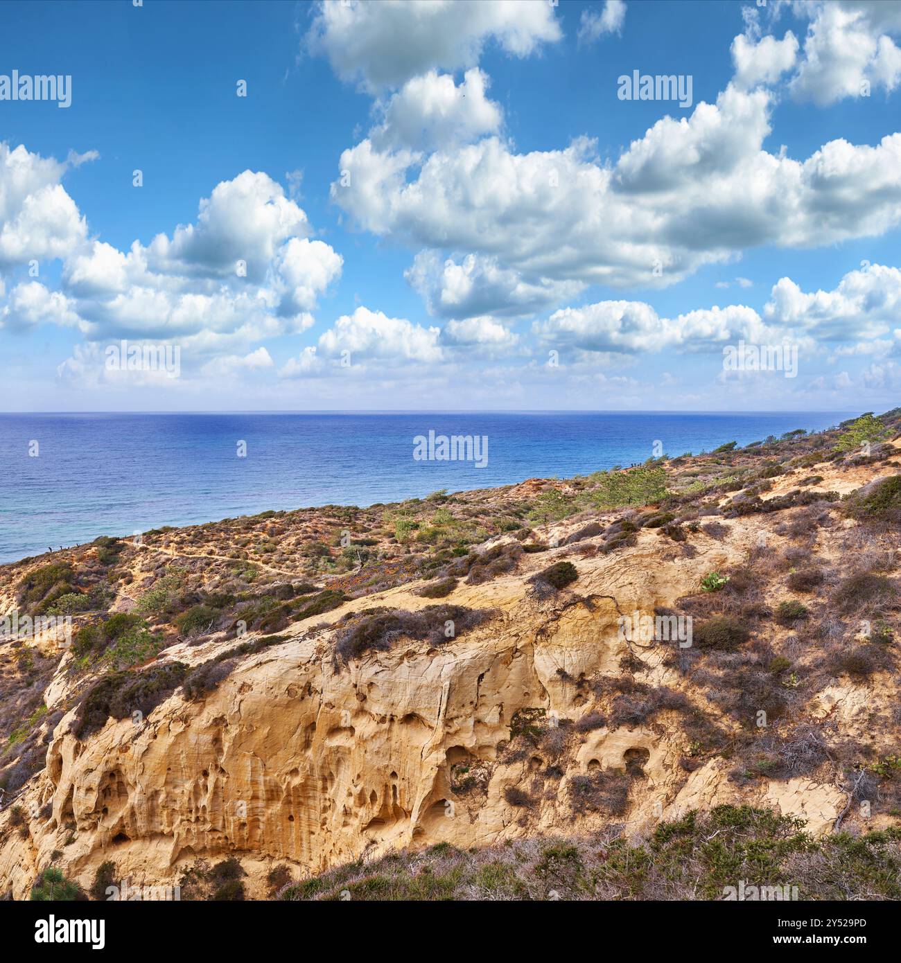 Conservation, landscape and ocean at mountain in nature for eco ...