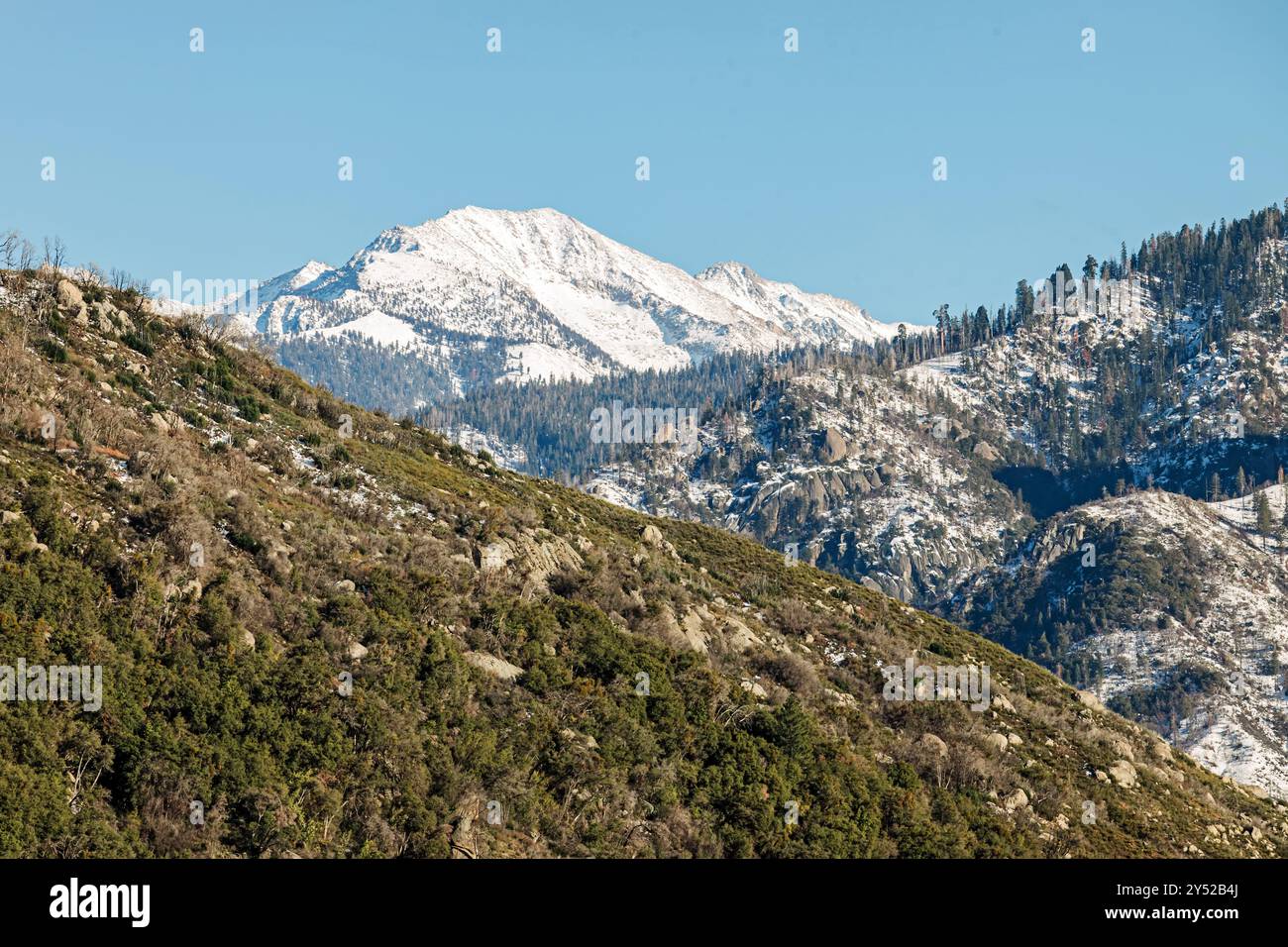 Greenery and snow hi-res stock photography and images - Alamy