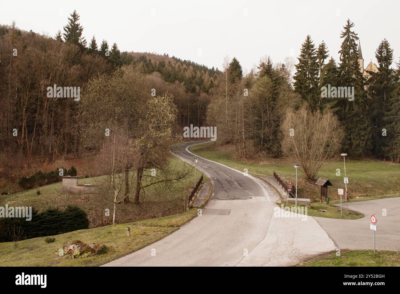 Winding road leading through a forest in early spring Stock Photo - Alamy
