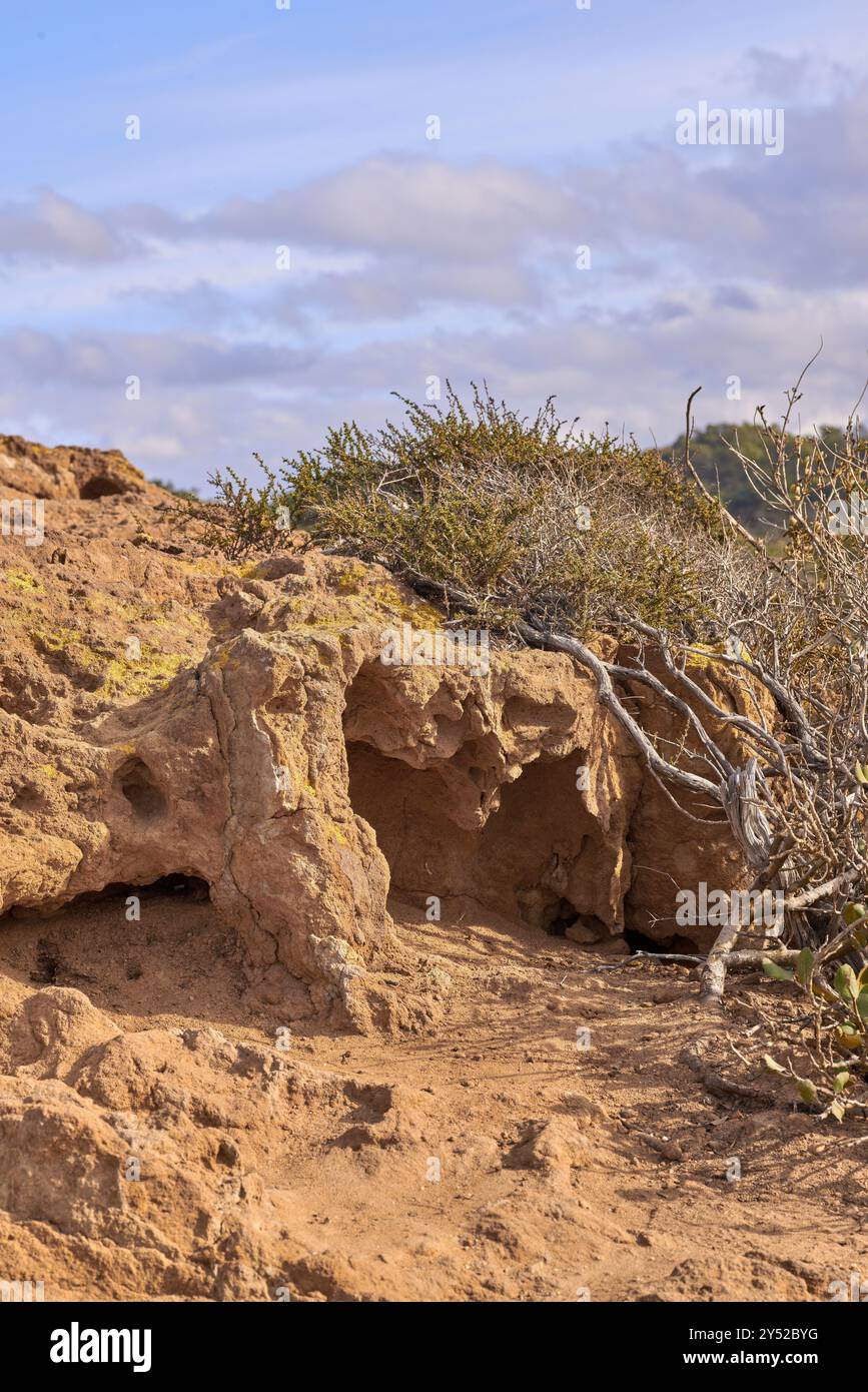 Conservation, environment and landscape of mountain in nature for ...