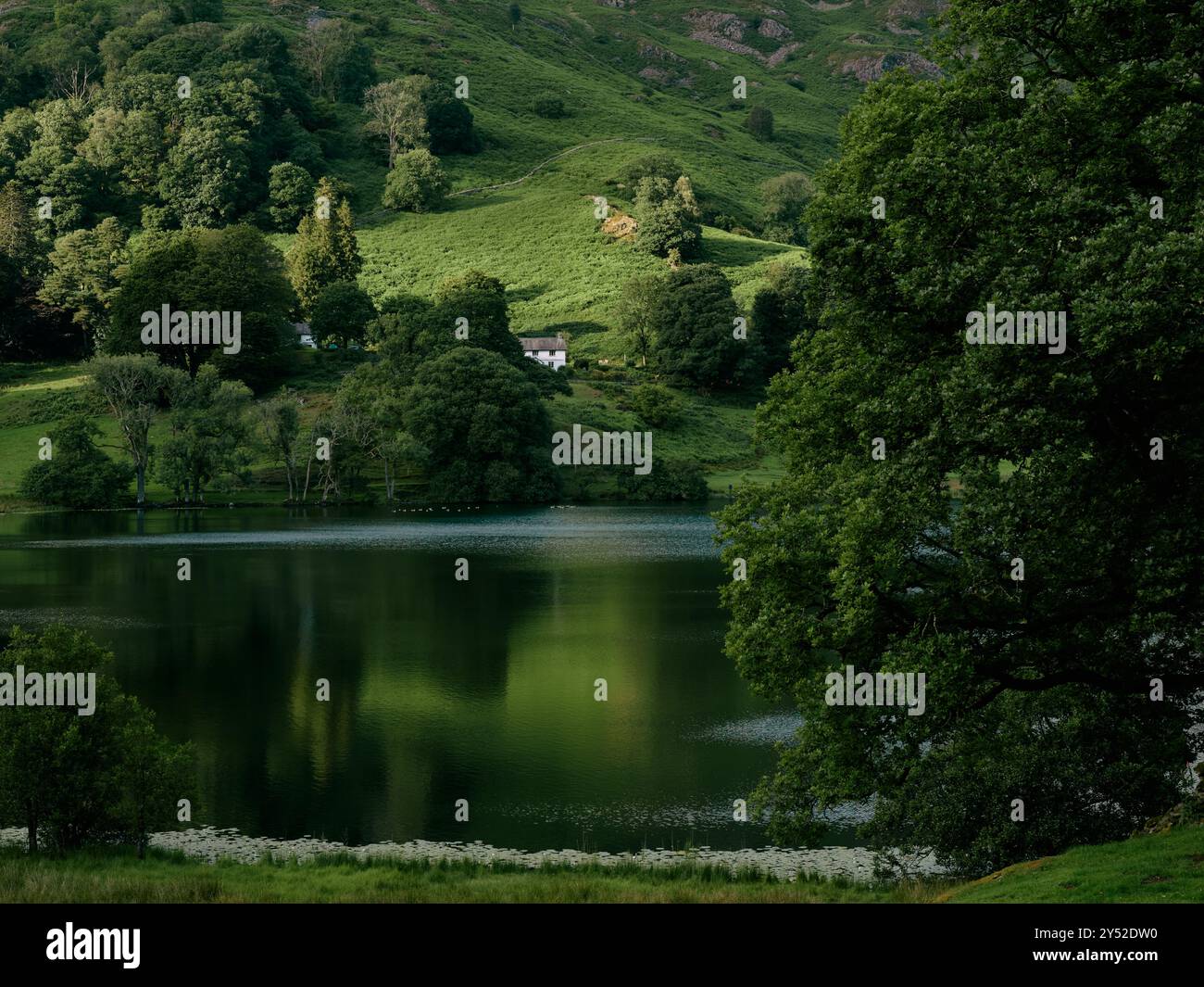 Loughrigg Tarn on a summer day in the Lake District National Park ...