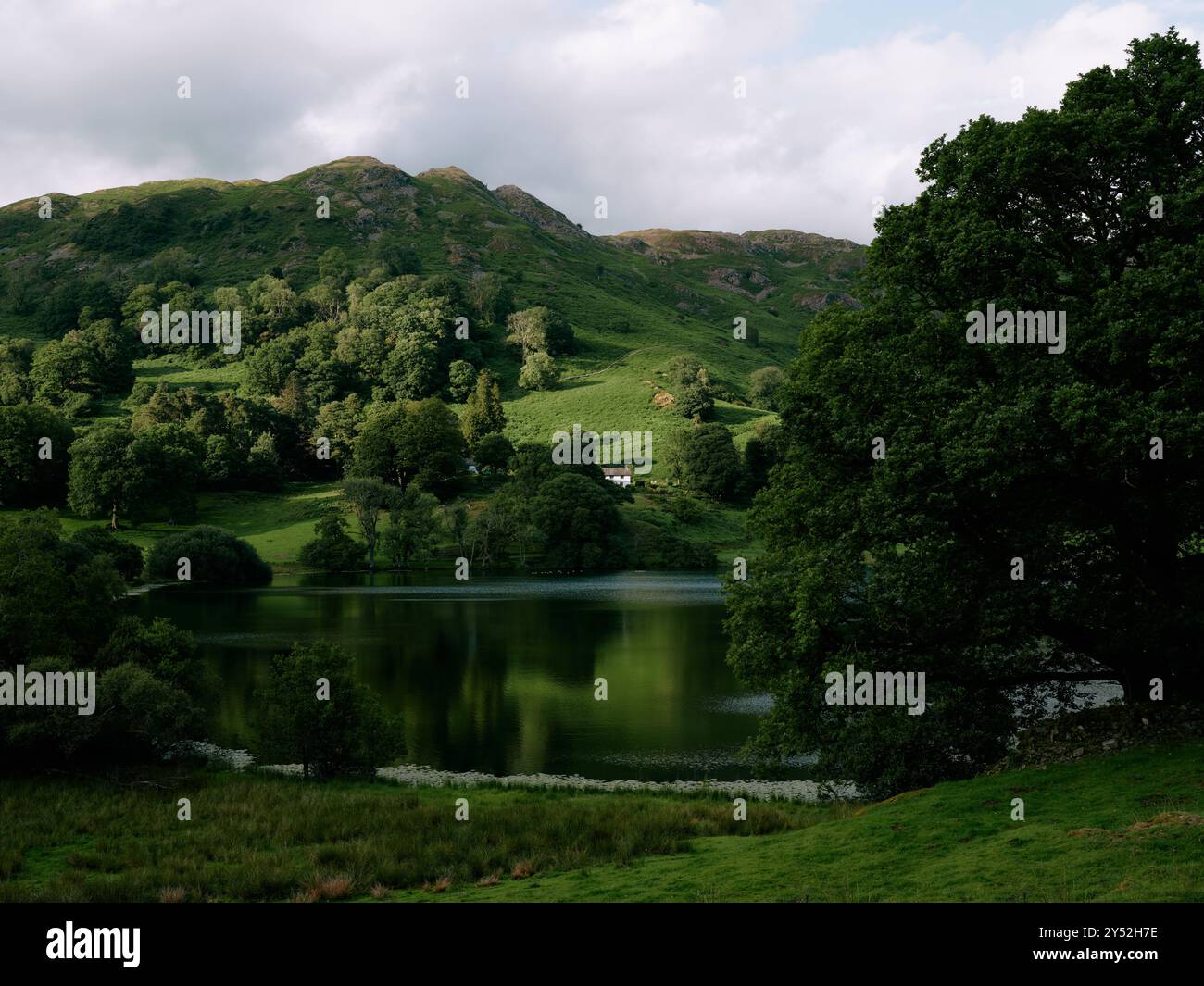 Loughrigg Tarn on a summer day in the Lake District National Park ...