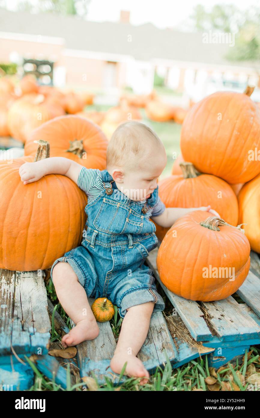 baby boy in overalls in a pumpkin patch in the fall Stock Photo - Alamy