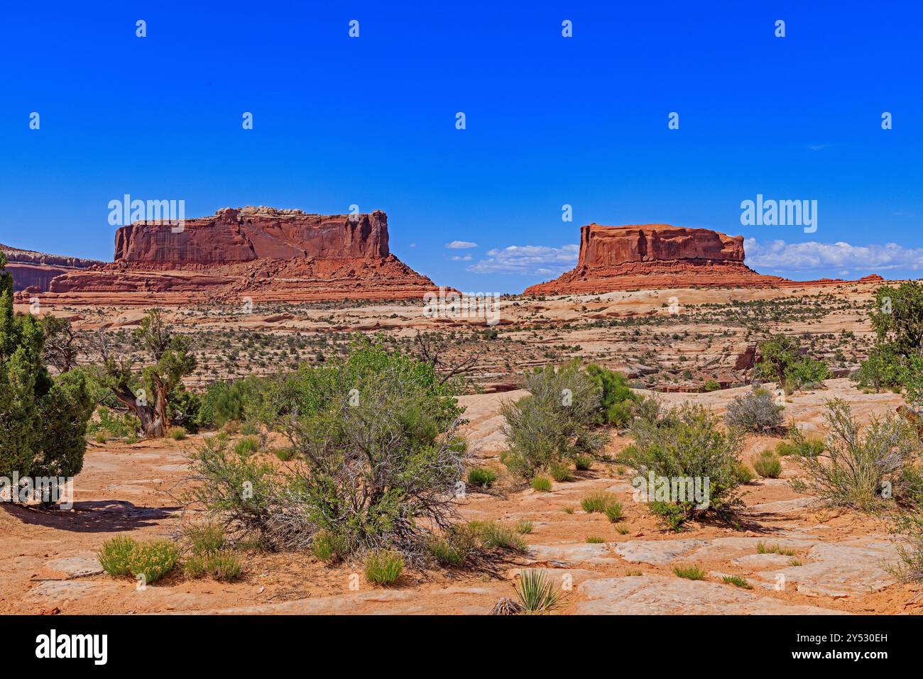 This is a view of the Merrimac (left) and Monitor (right) Buttes north ...