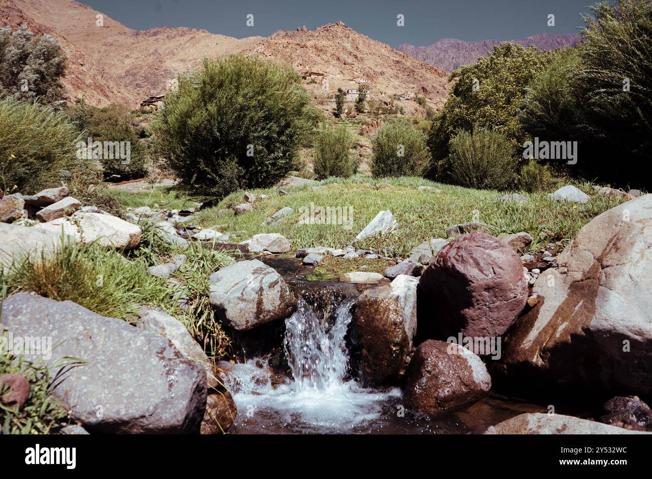 Amsouzart's Natural Beauty : Water, Trees, and Greenery in Taroudant ...