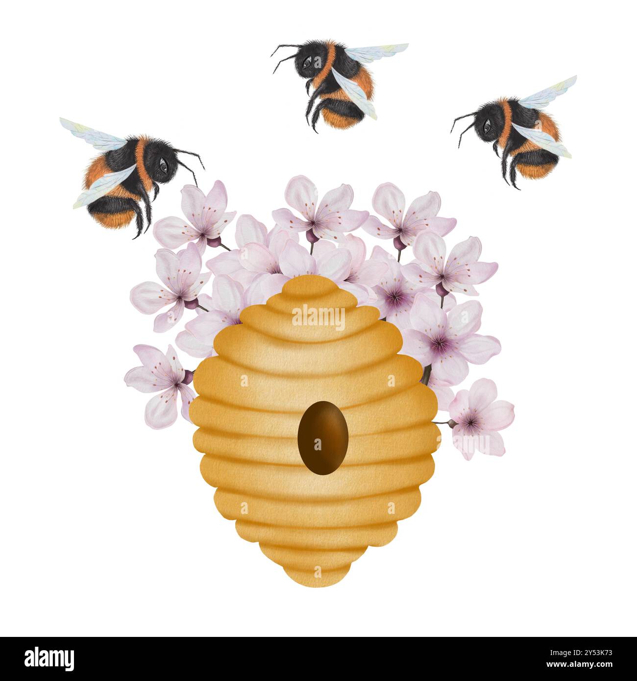Bumble Bee Hive Clip Art Bees Honeycomb Clipart Images | Free Download