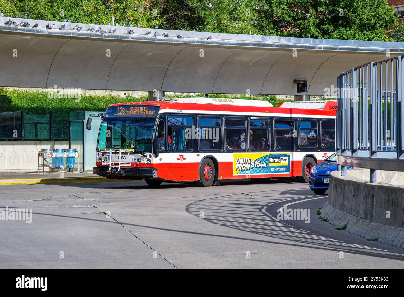 Toronto, Canada - September 14, 2024: A TTC public transportation bus ...