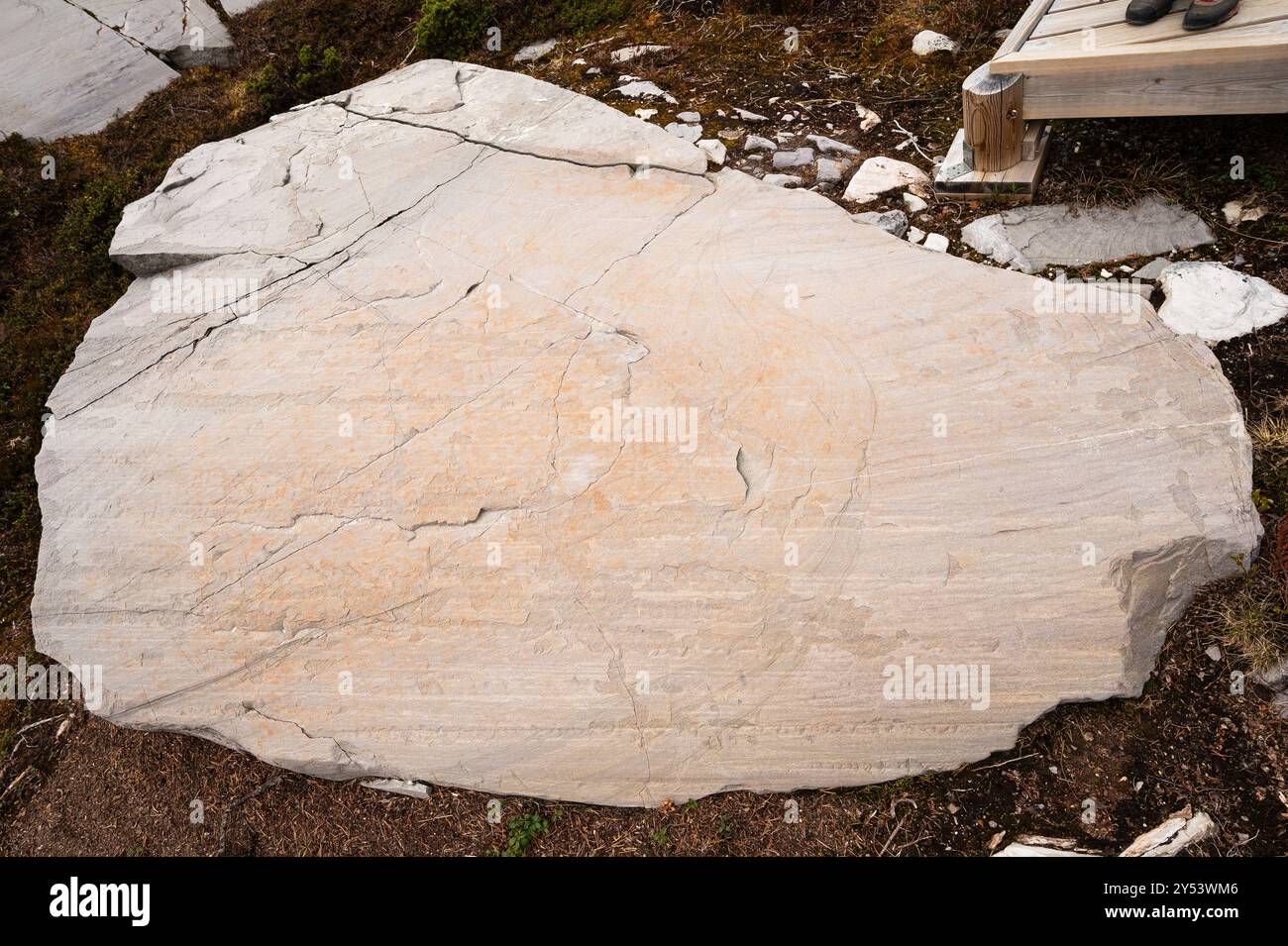 samples of the rock carvings inside the World Heritage Rock Art Centre ...