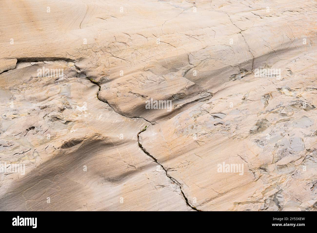 samples of the rock carvings inside the World Heritage Rock Art Centre ...