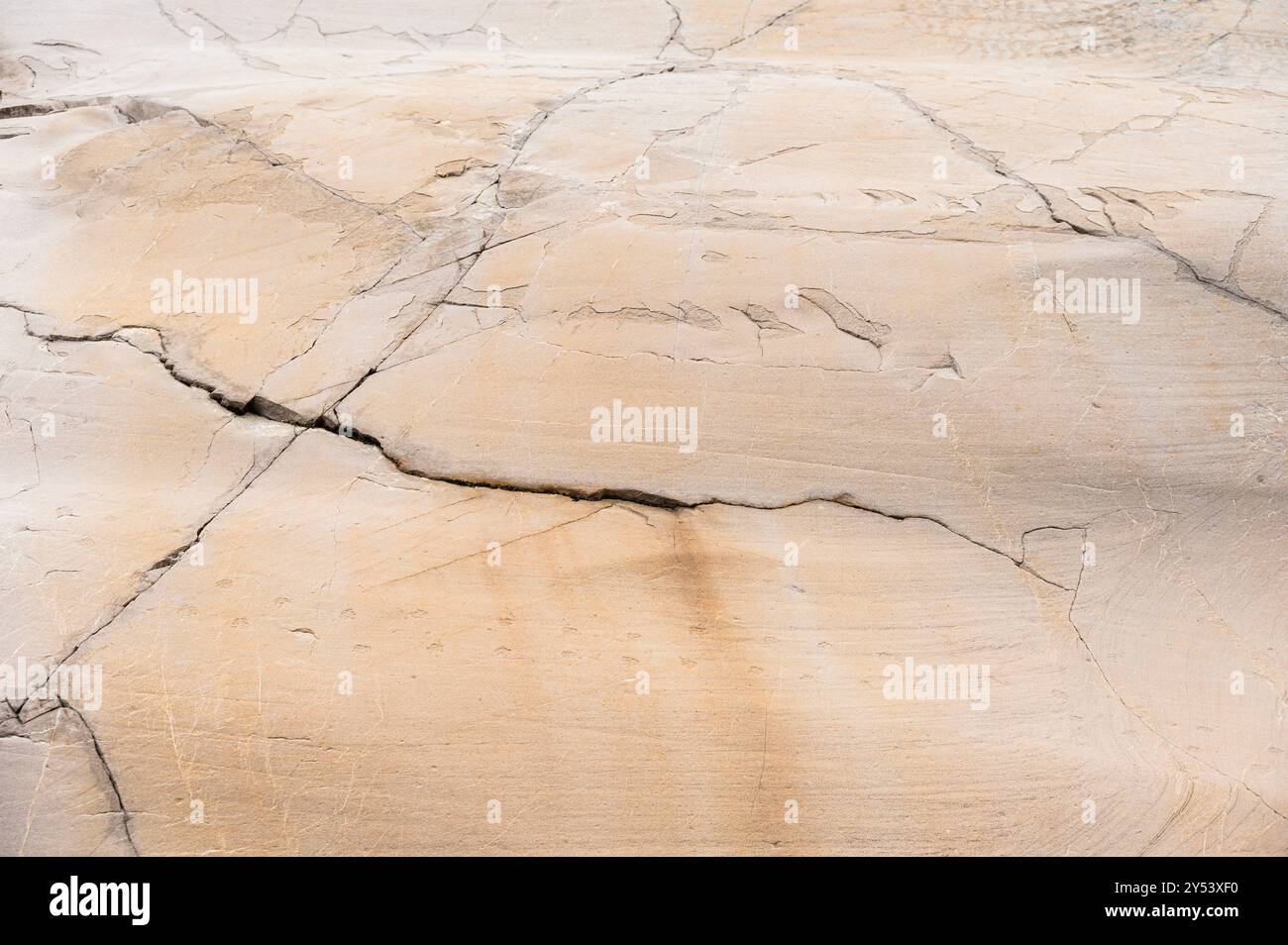 samples of the rock carvings inside the World Heritage Rock Art Centre ...