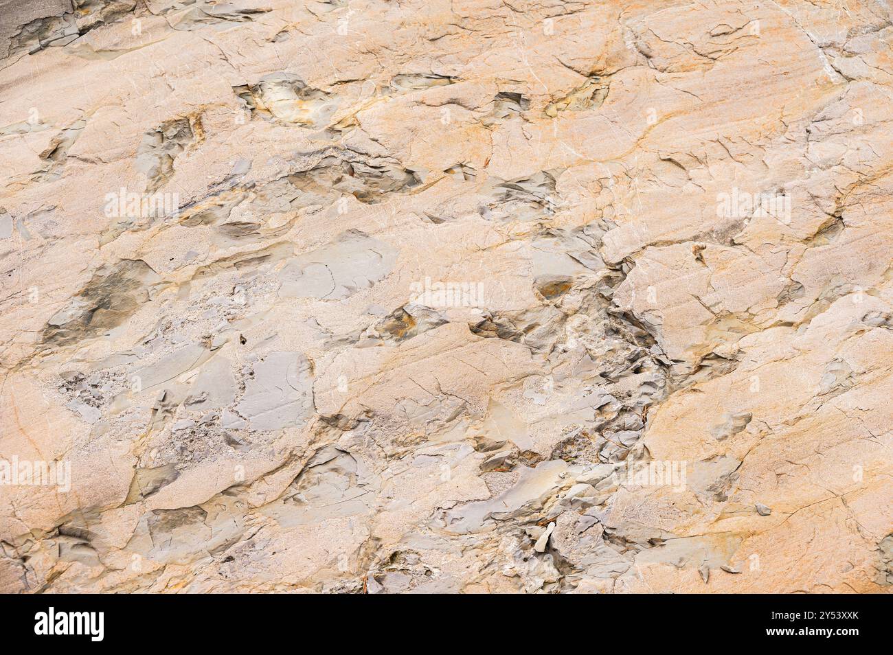 samples of the rock carvings inside the World Heritage Rock Art Centre ...