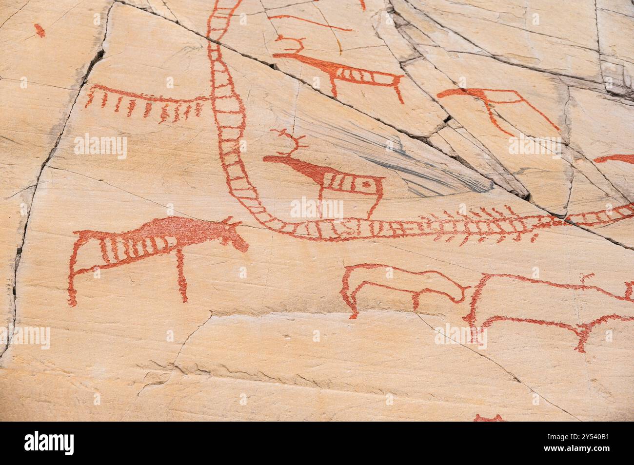 samples of the rock carvings inside the World Heritage Rock Art Centre ...